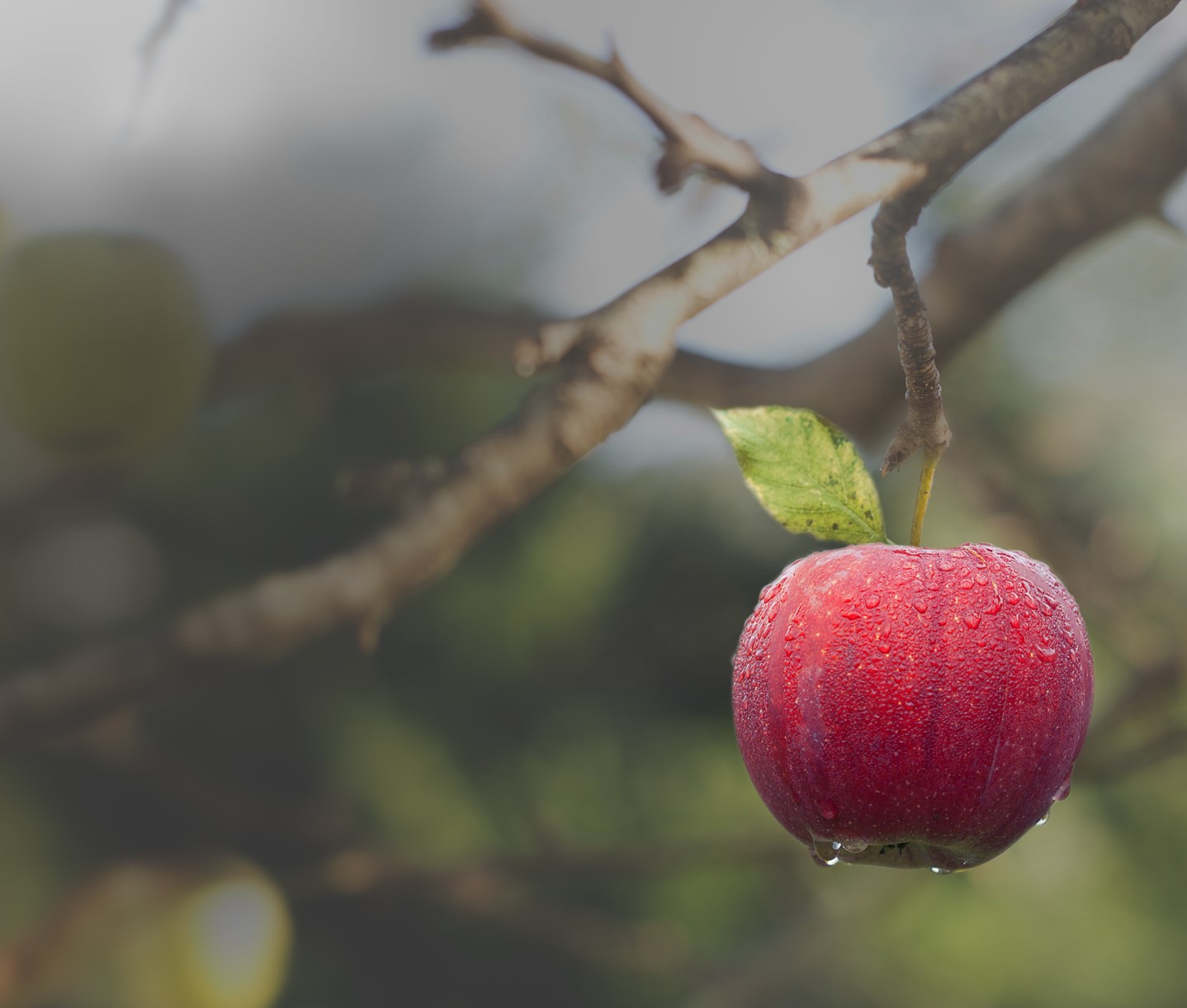 Events – Spoken Word Ministries Association